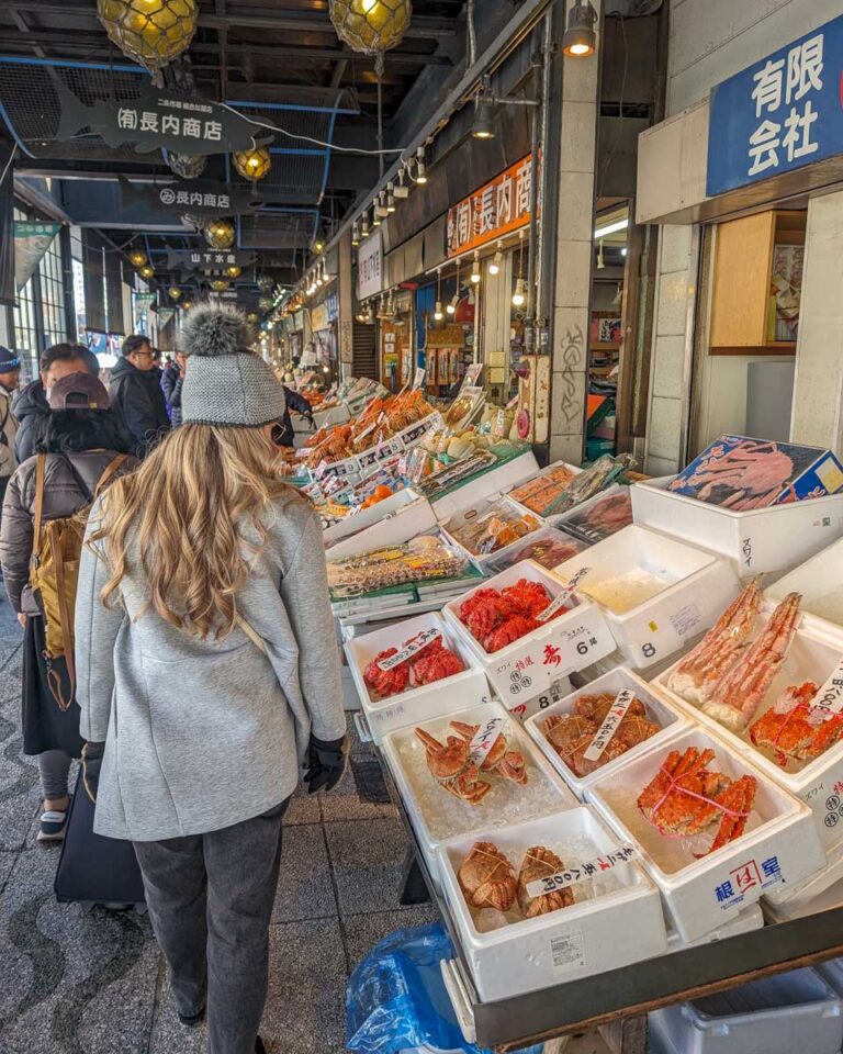 How to Spend THREE DAYS in Sapporo in the Winter: 3-Day Itinerary ...