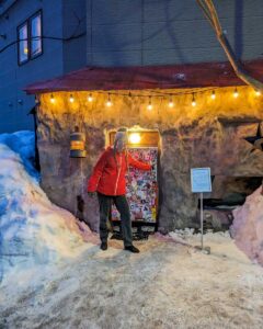 12 Best Things to do in Niseko, Japan - thejapantravelblog.com