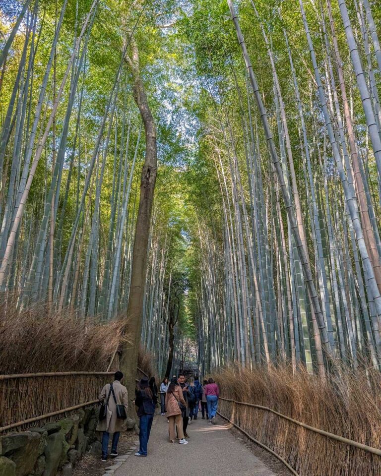 How to Spend THREE DAYS in Kyoto: 3-Day Itinerary - thejapantravelblog.com