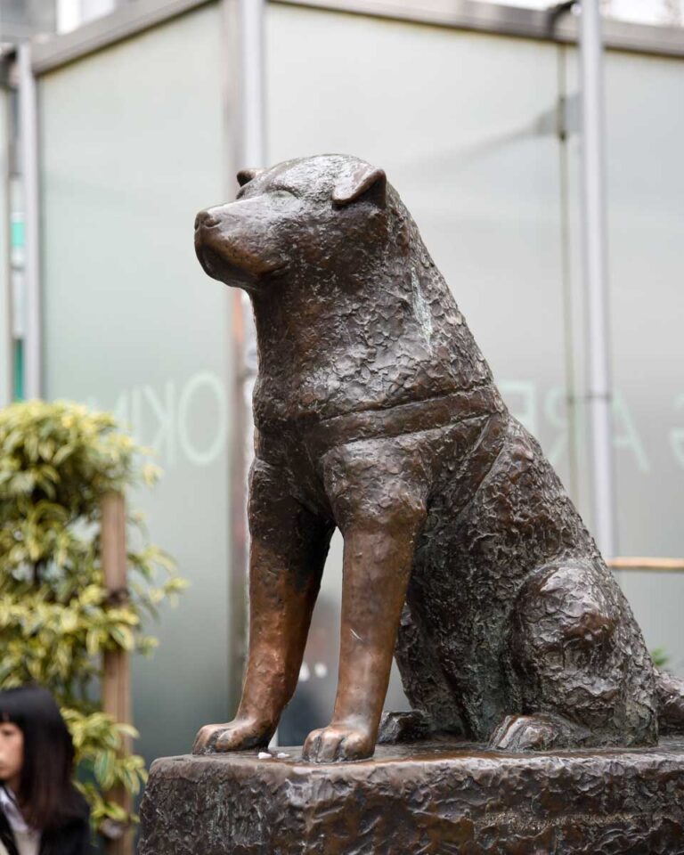 Where to Stay in Shibuya, Tokyo: 6 Best Areas & Hotels ...