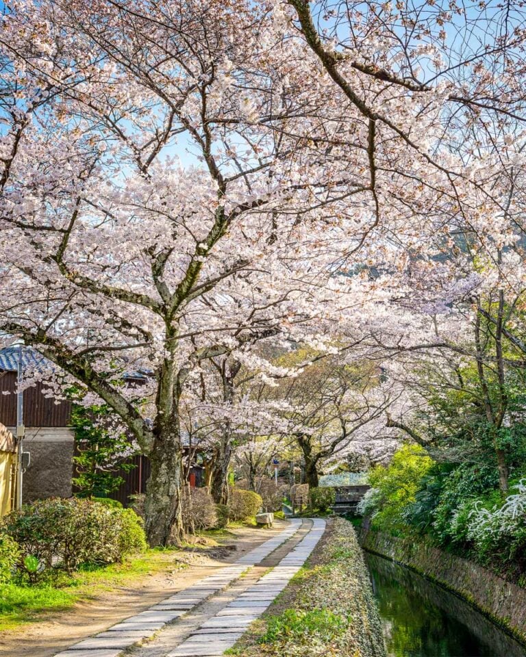 The 15 Best Ryokans in Kyoto - thejapantravelblog.com
