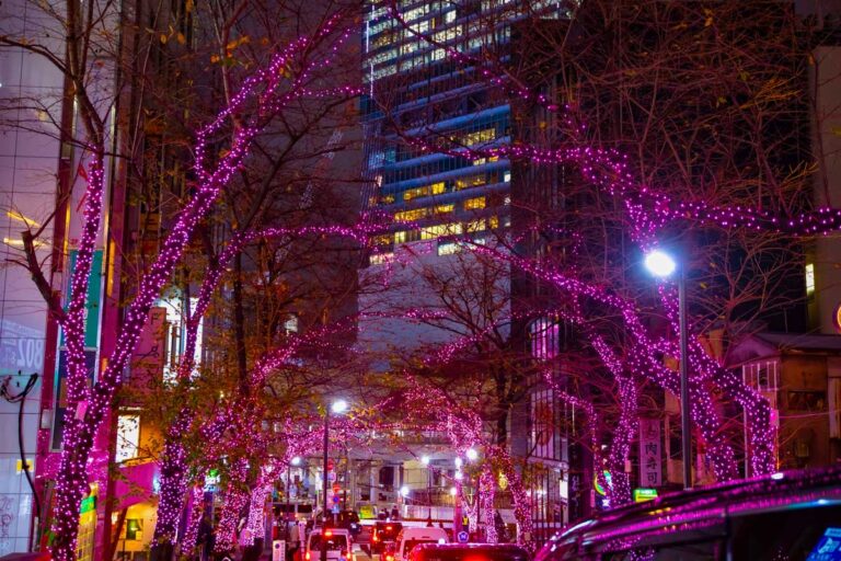 Where to Stay in Shibuya, Tokyo: 6 Best Areas & Hotels ...
