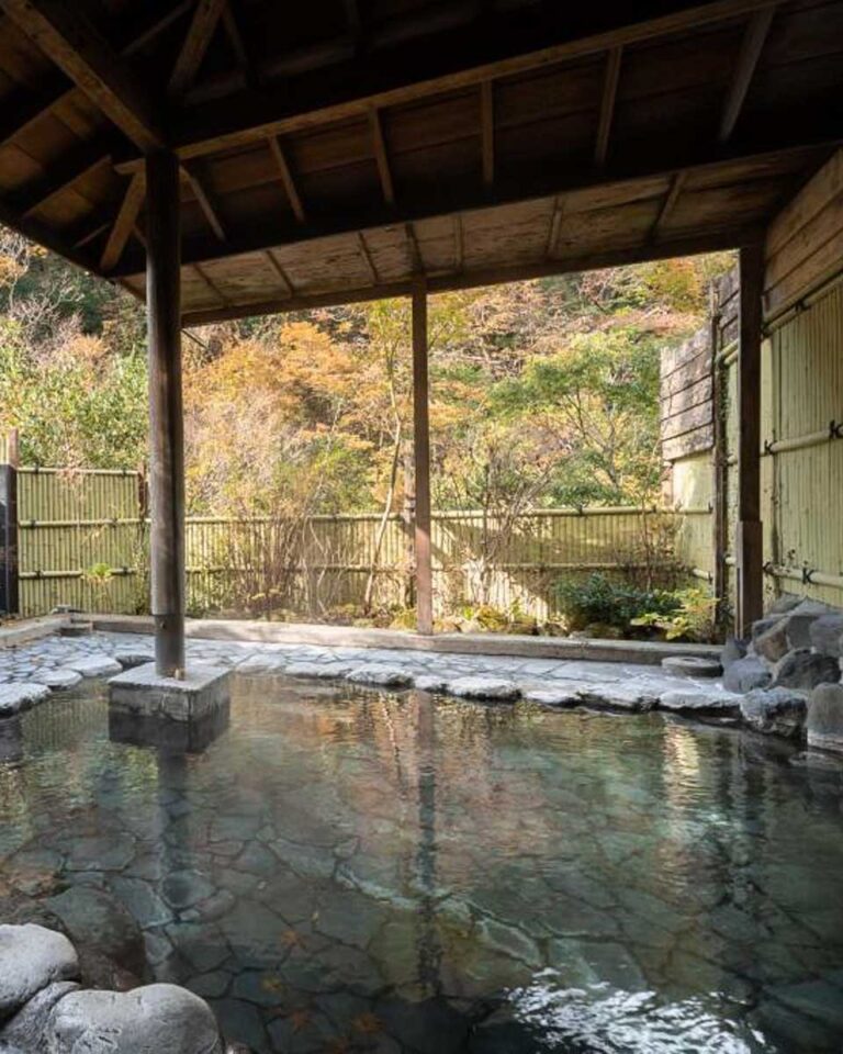 The 20 Best Hotels in Hakone with Onsens - thejapantravelblog.com